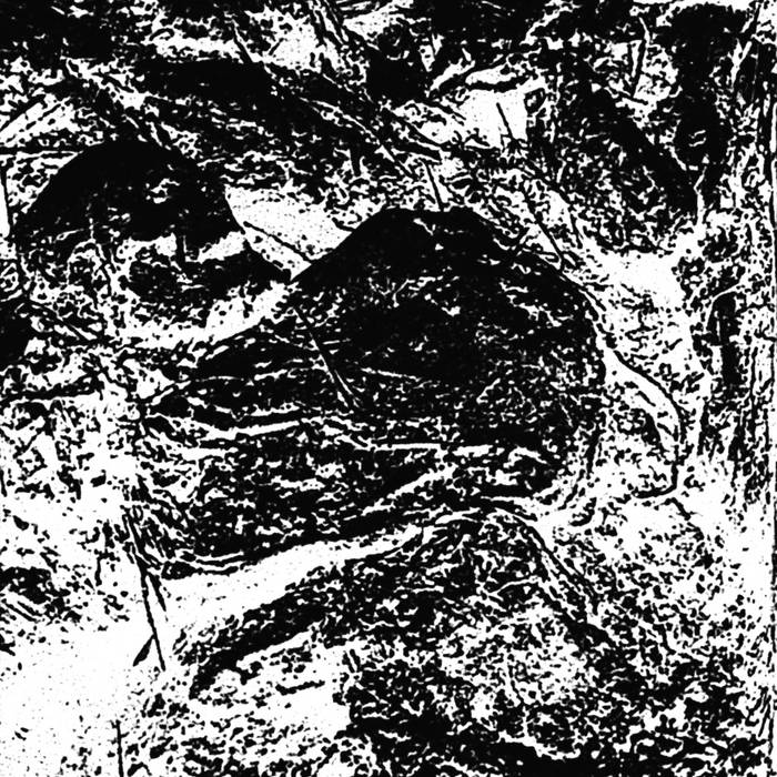Olgafllingdealmeida S Collection Bandcamp