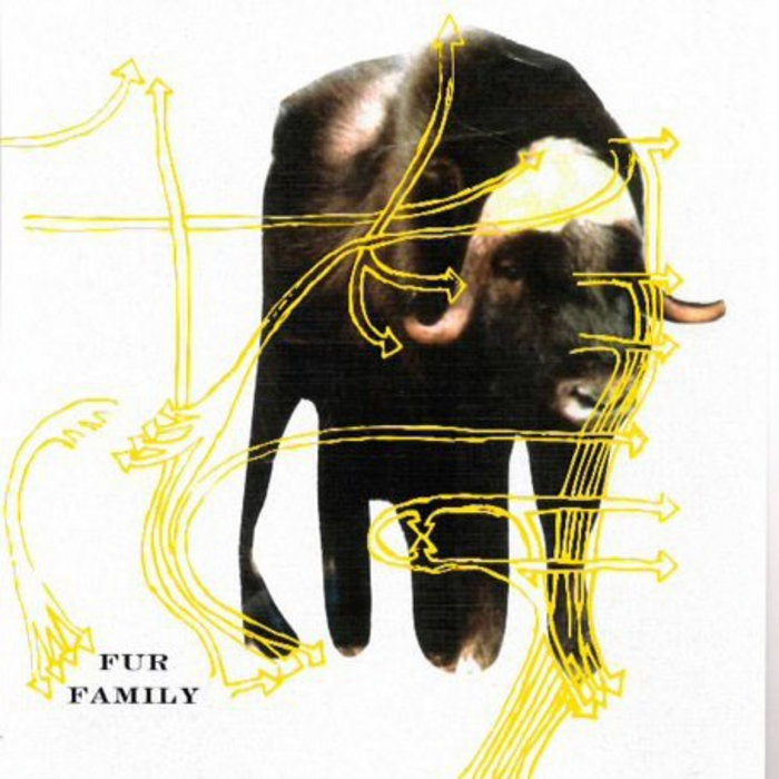 Musk Ox | Sean Peter Rogers