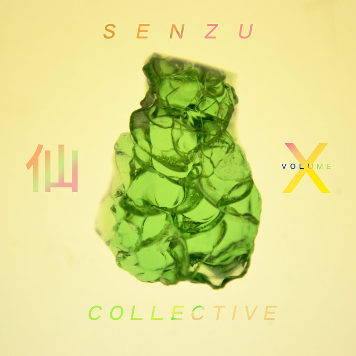 SENZU VOL. X | Senzu