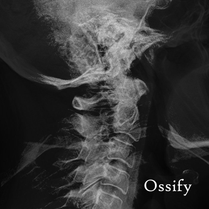 Ossify | Coyote Senate