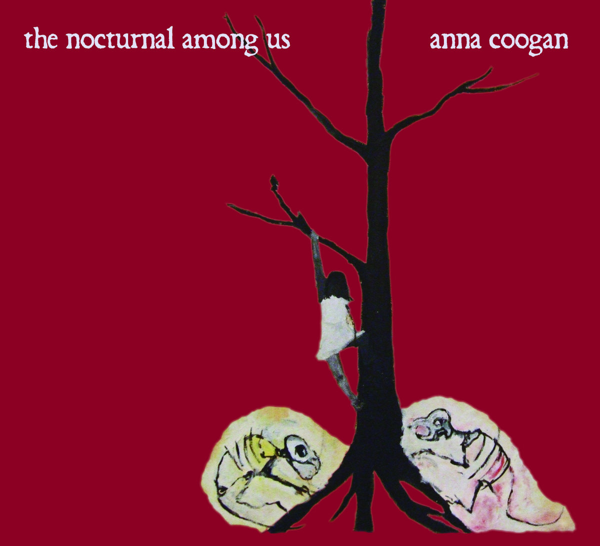 The Nocturnal Among Us | Anna Coogan