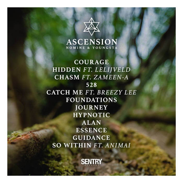 The Ascension Album