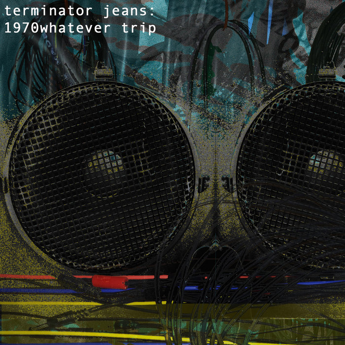 1970 Whatever Trip | Terminator Jeans