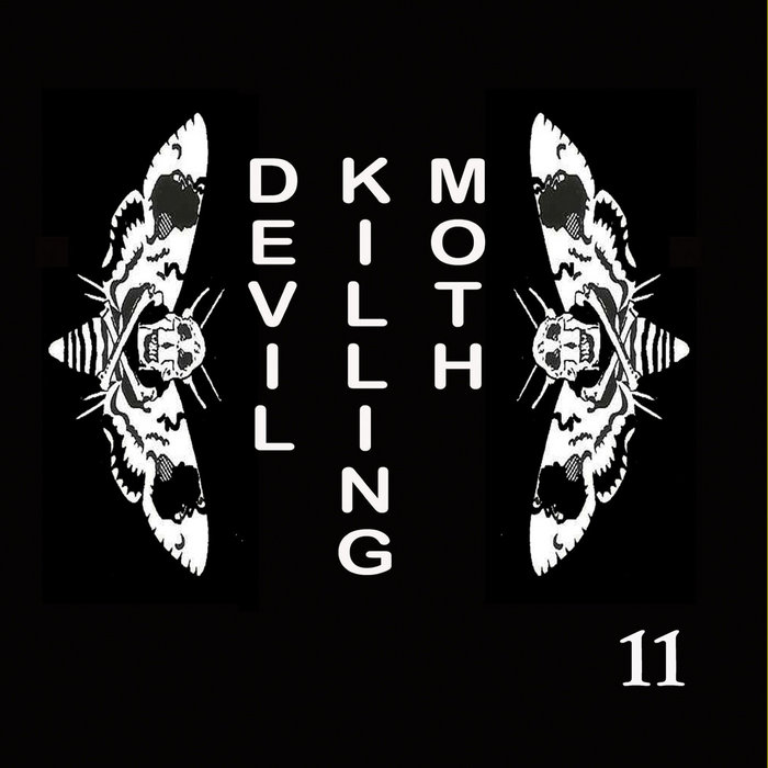 11 | Devil Killing Moth