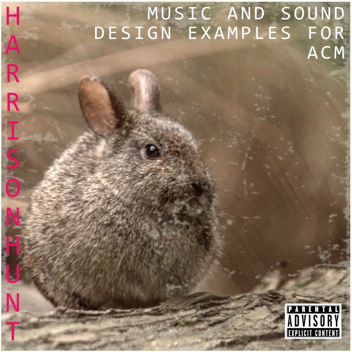 Music and Sound Design Examples For ACM | Harrison Hunt