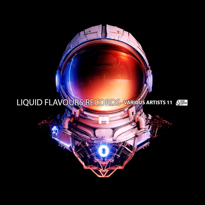 Liquid Flavours Records - Various Artist 11 | Various Artists | Liquid ...