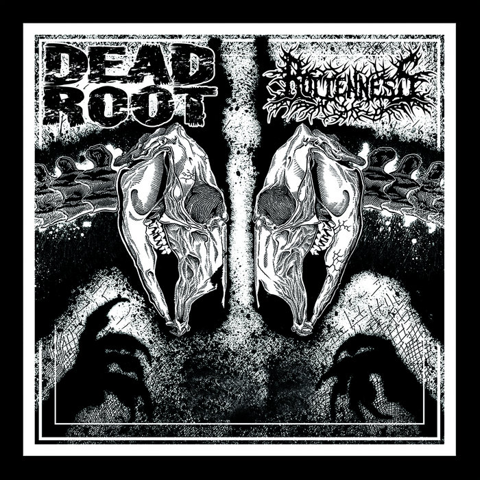 Dead Root / Rottenness [Split] | Dead Root/Rottenness | Rottenness