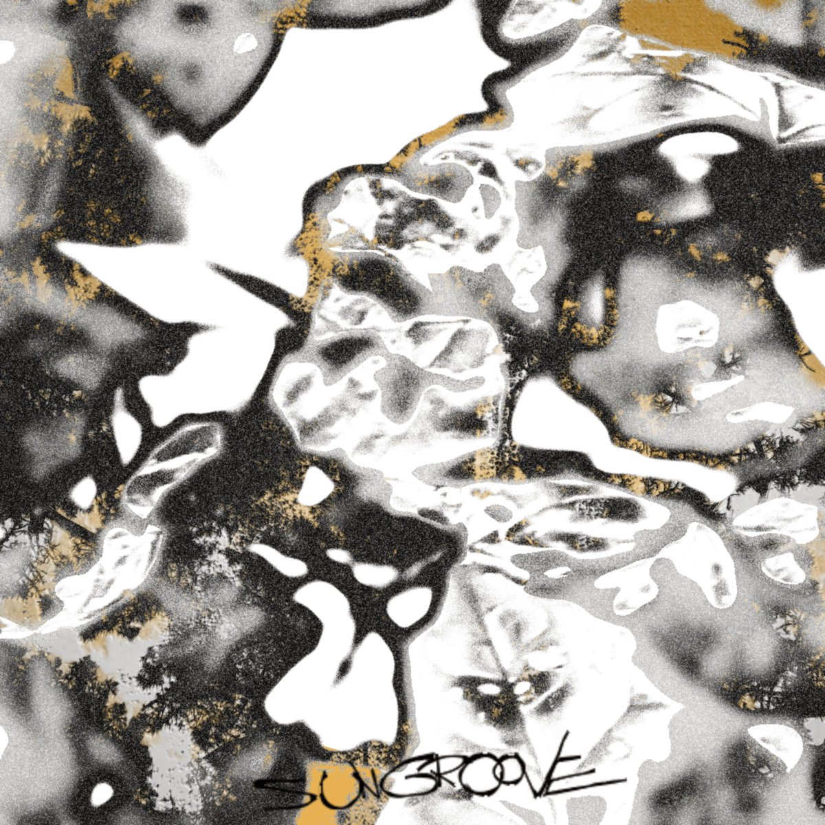 Sungroove | Paul Hauck & Tim Rausch | Paul Hauck