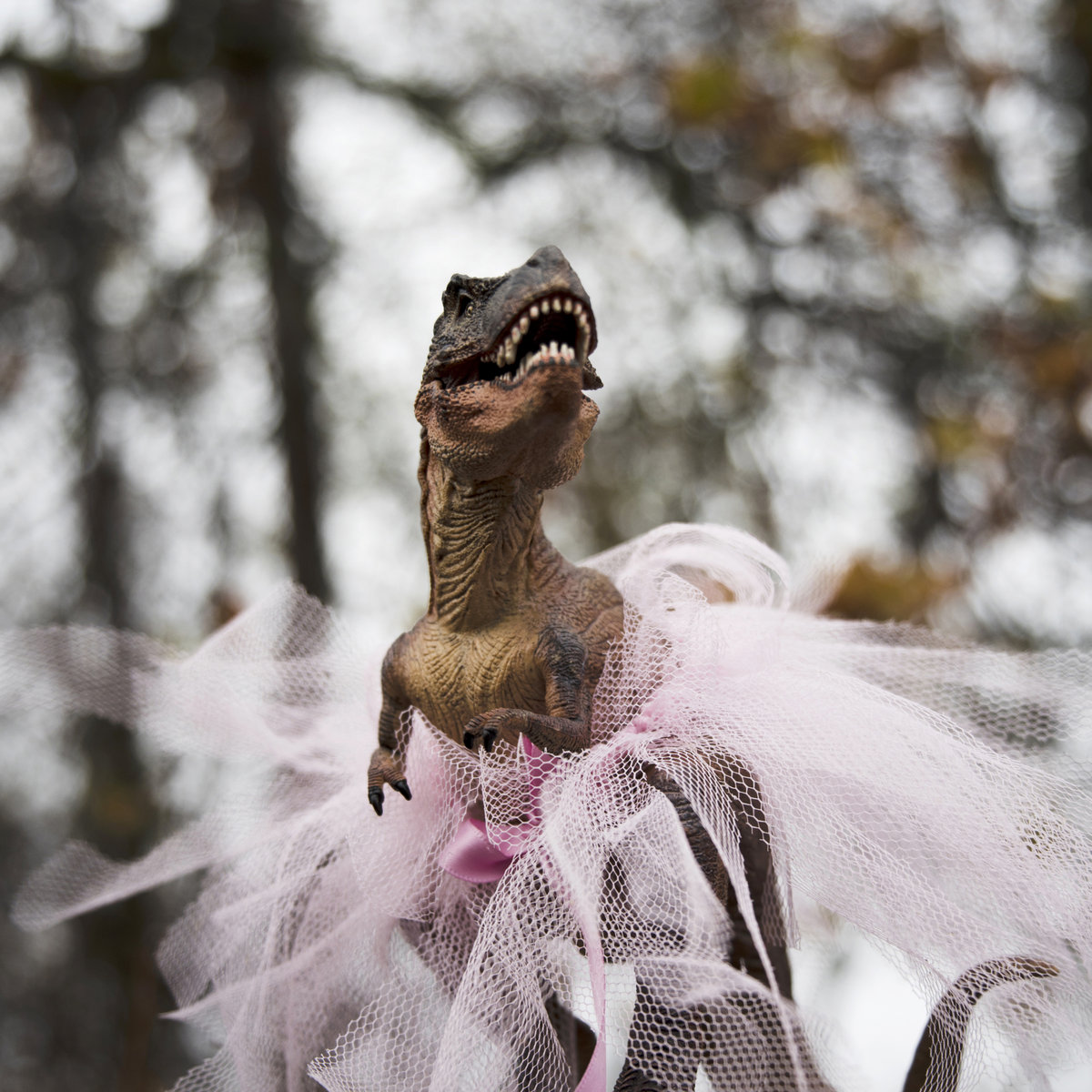 Tutu Tyrannosaure (2023) | Jordane Prestrot | J. Prestrot