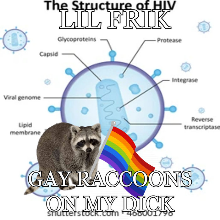 GAY RACCOONS ON MY DICK | Lil Frik