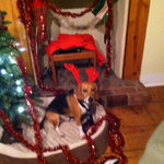 Christmas Time For Them | John P. Flynn and the Shackers | John P. Flynn