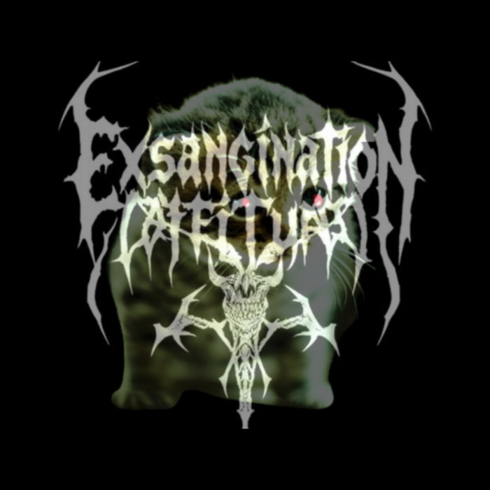 Zombie Kitten Disembowelment Rituals | Exsanguination Ritual