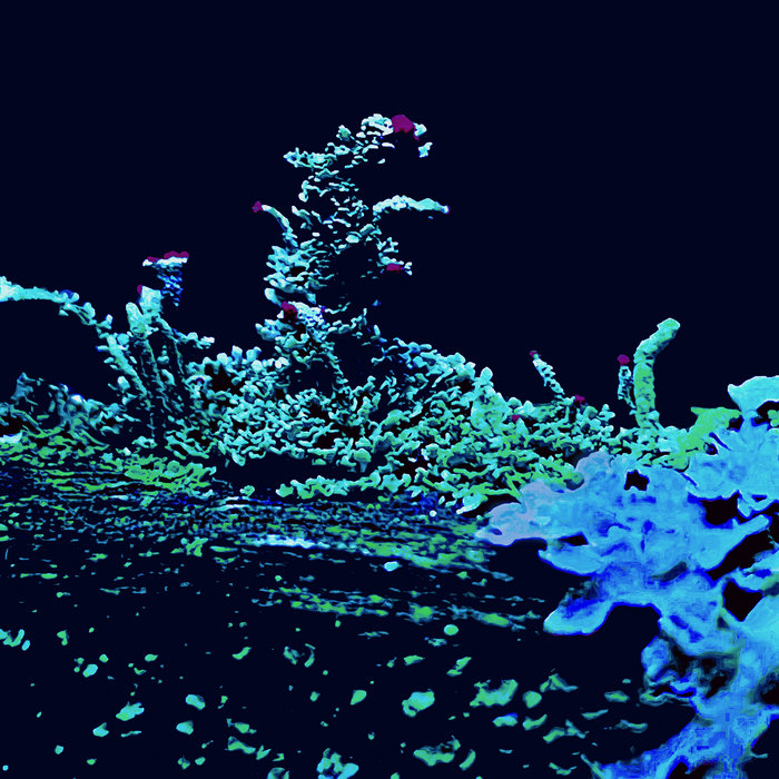 Floating Off The Earth | Surface Broadcast