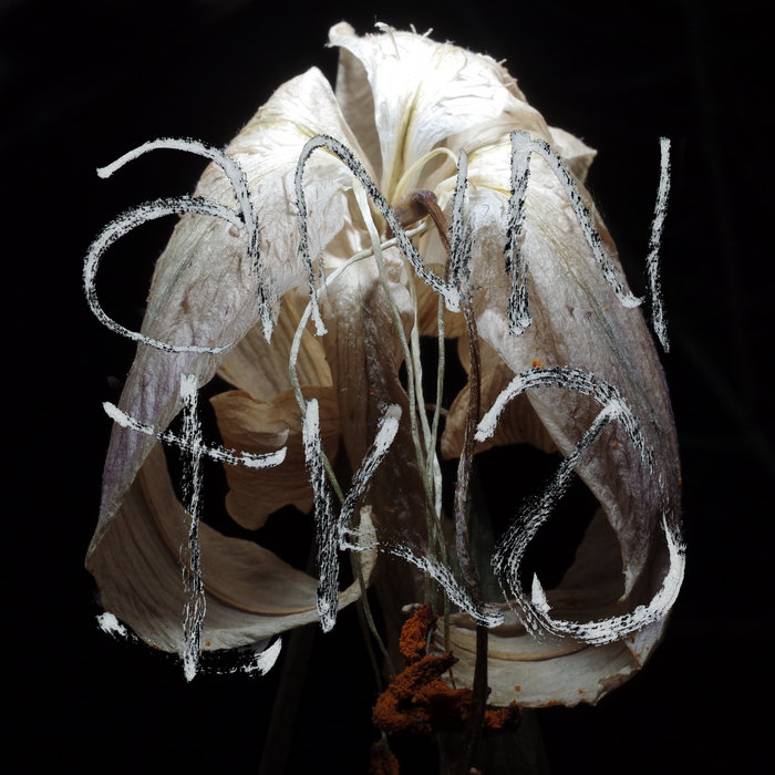 Patience [AT-032] | Annika Zee