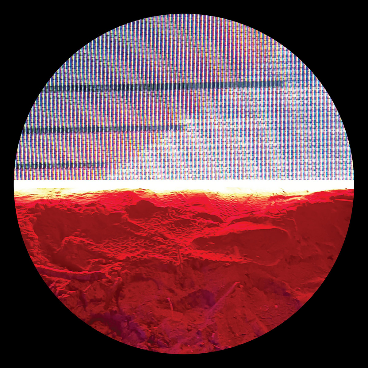 Clive by Night | Clive From Accounts