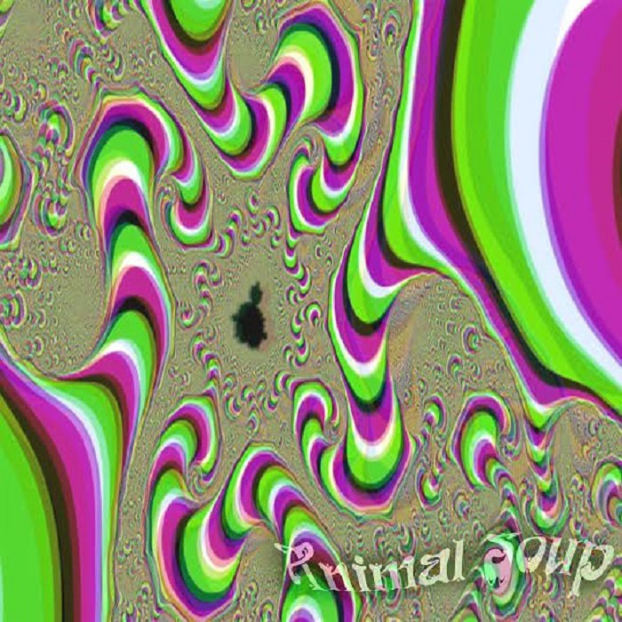 The Insomnia Demos | Animal Soup