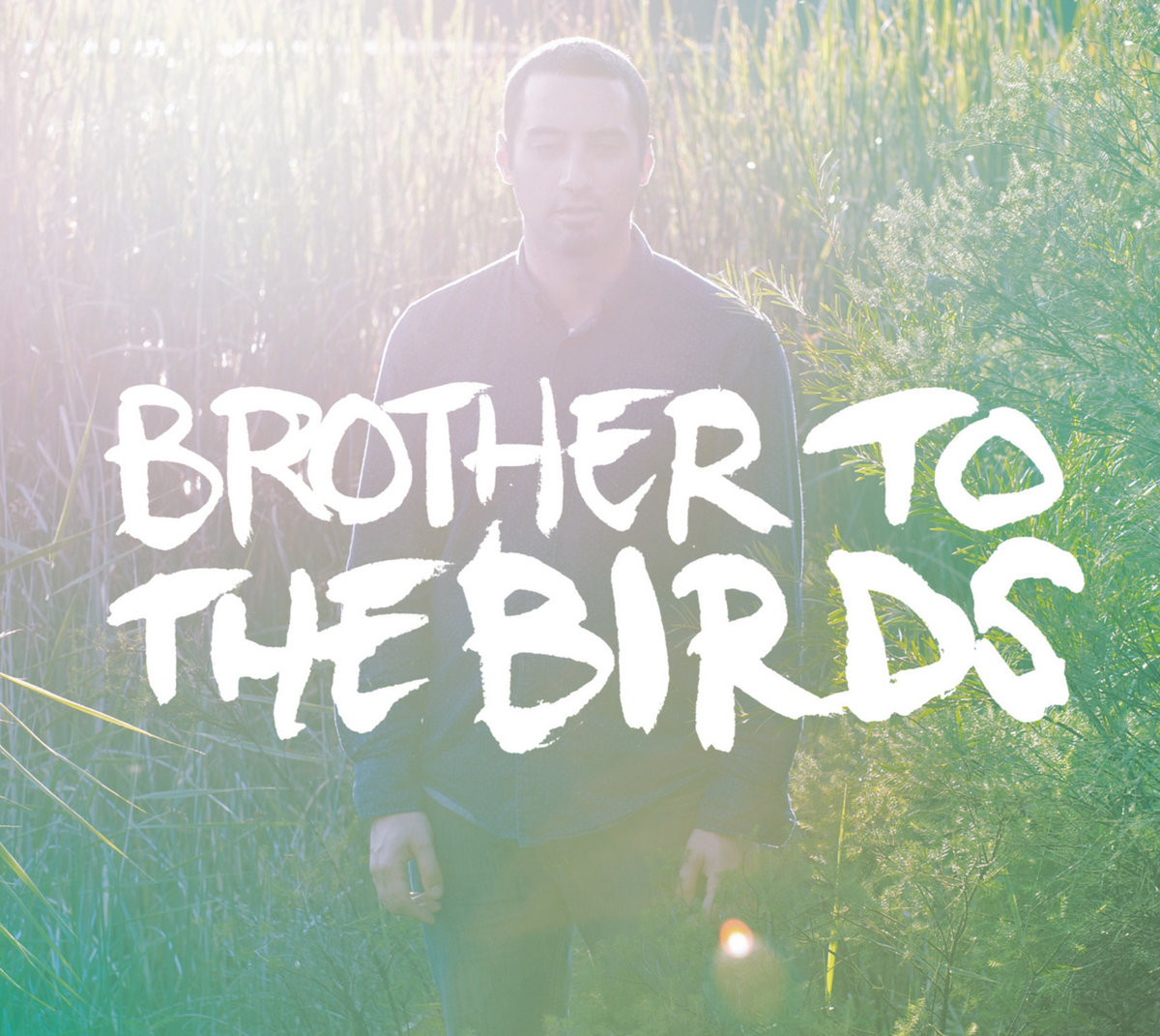 Brother to the Birds | Brother to the Birds