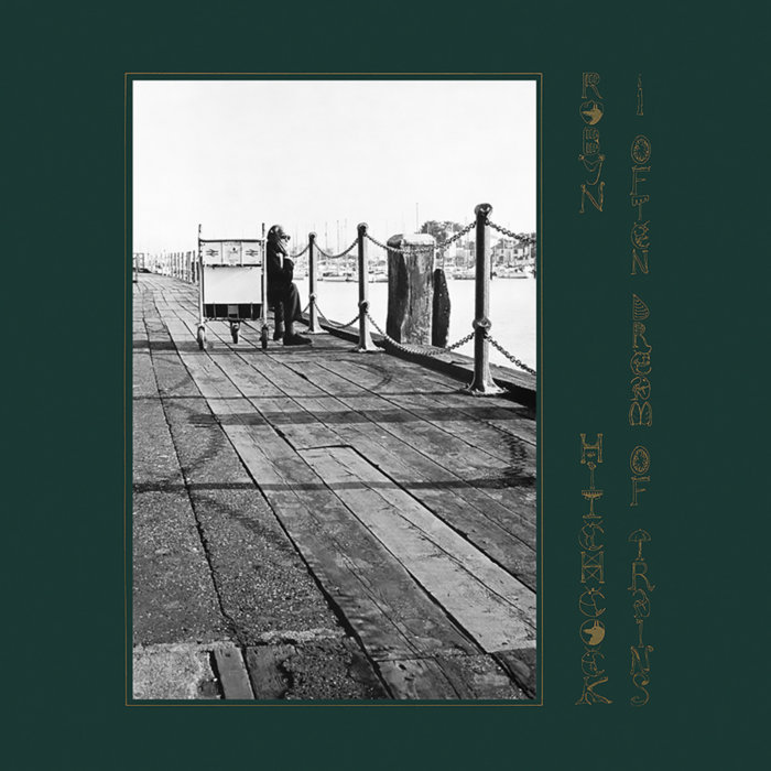 I Often Dream of Trains | Robyn Hitchcock