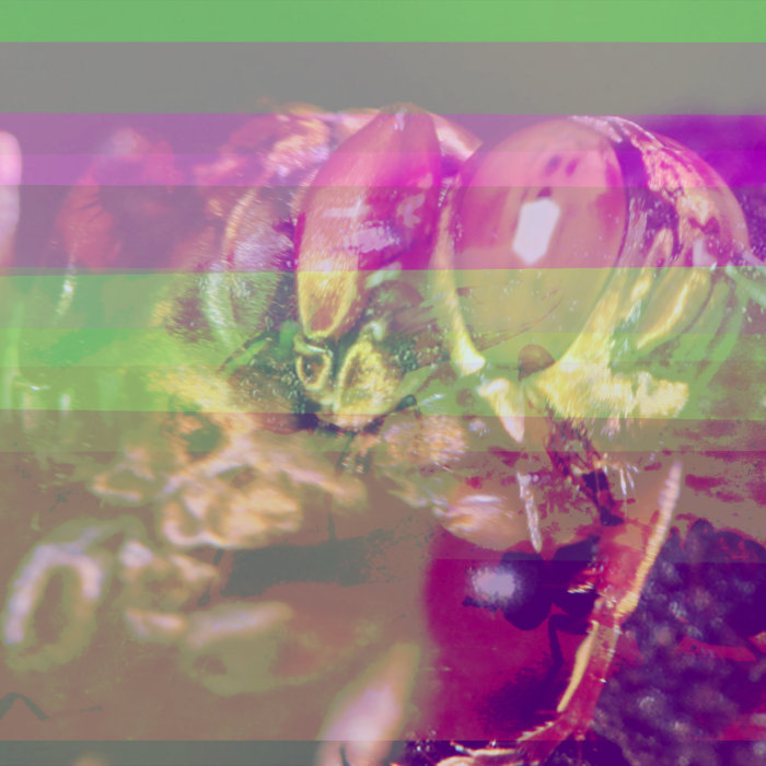 ...Oh, It's "Just" Some Weird Bug Noise, Really. | mhzesent | Nature ...