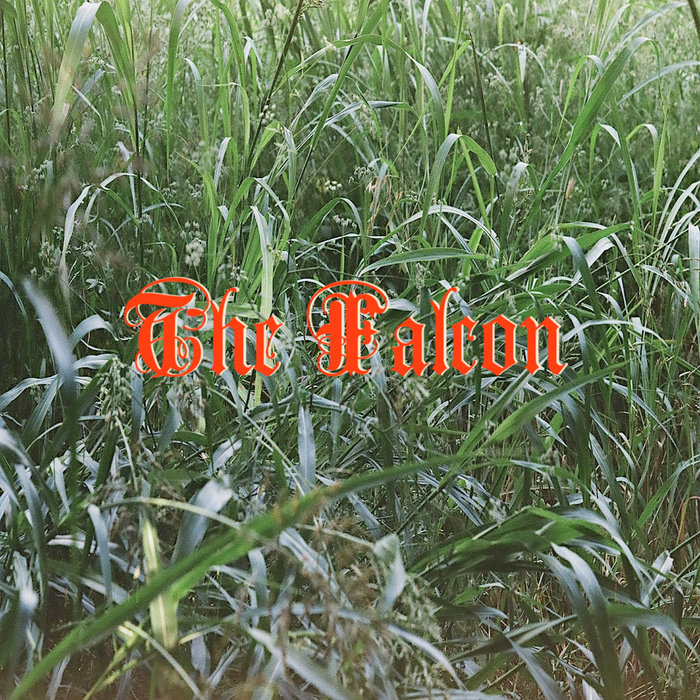 The Falcon | David Hokanson