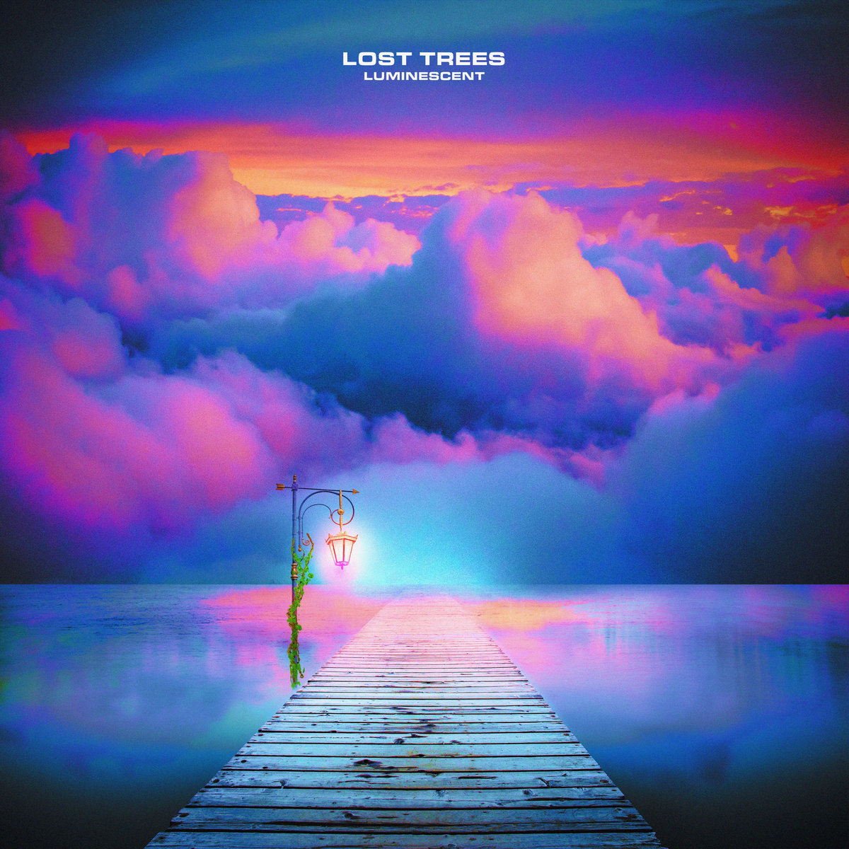 Luminescent | Lost Trees