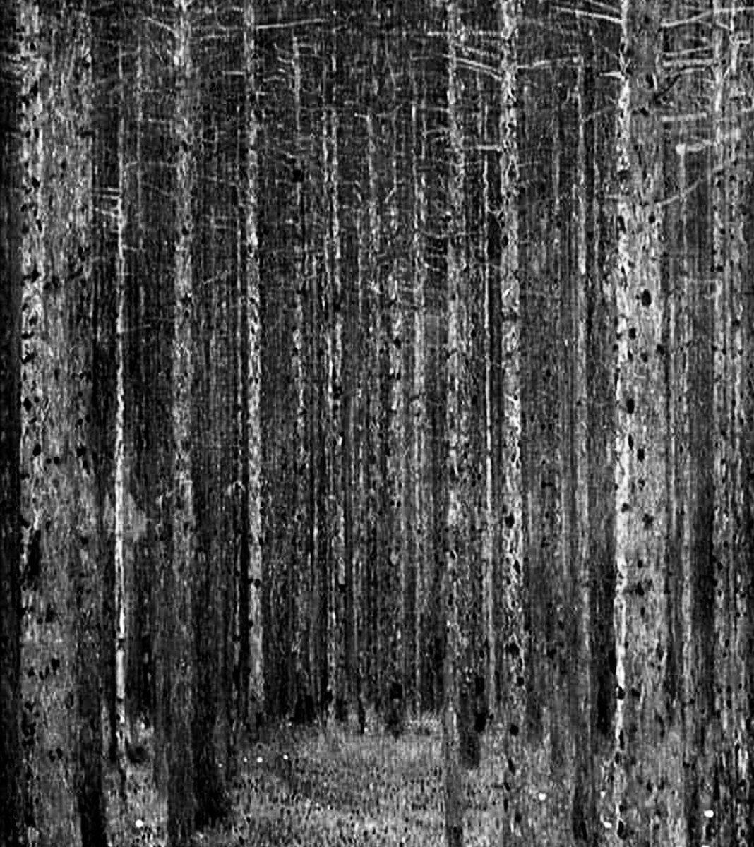 Hologram Road | Talesin