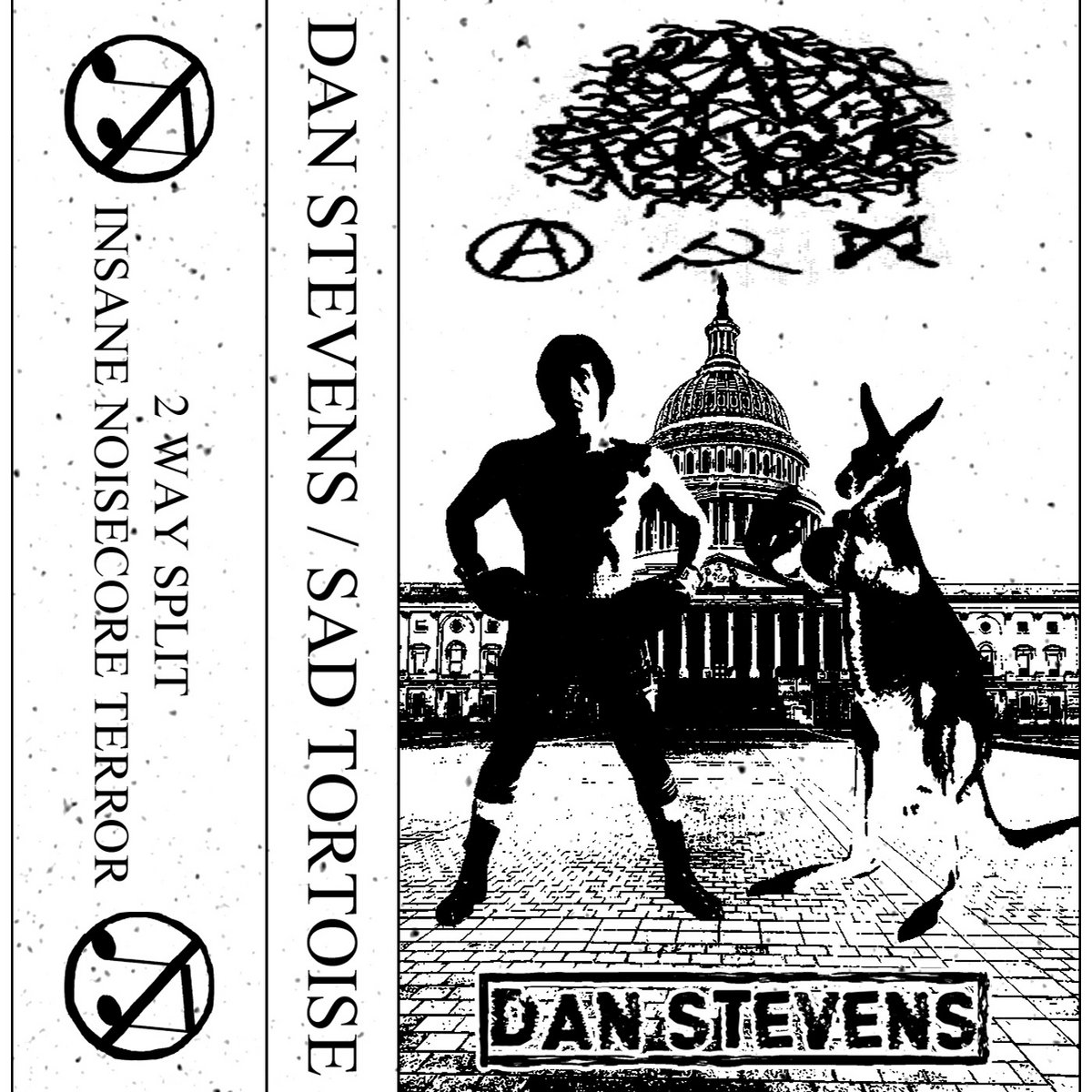 Insane Noisecore Terror | Dan Stevens / Sad Tortoise | Tortö Distro
