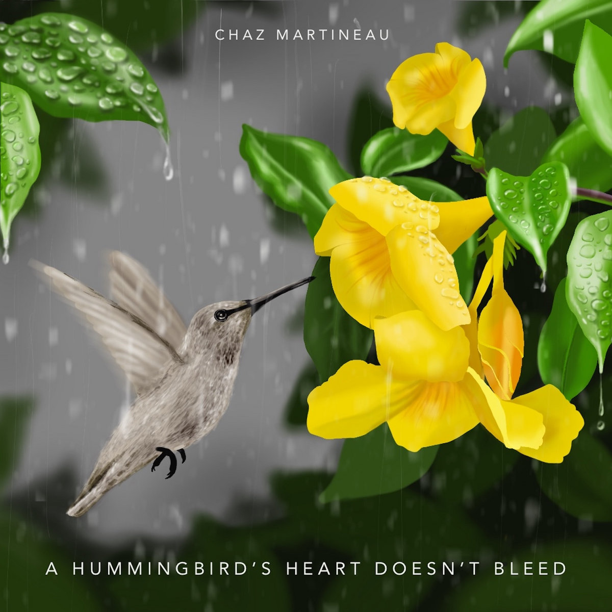 A Hummingbird's Heart Doesn't Bleed | Chaz Martineau