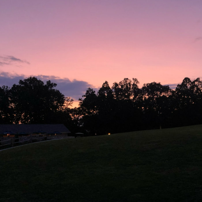 Hometown (demo) | Lizzy Campbell