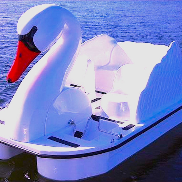 Swan Boat | Devin Nelson