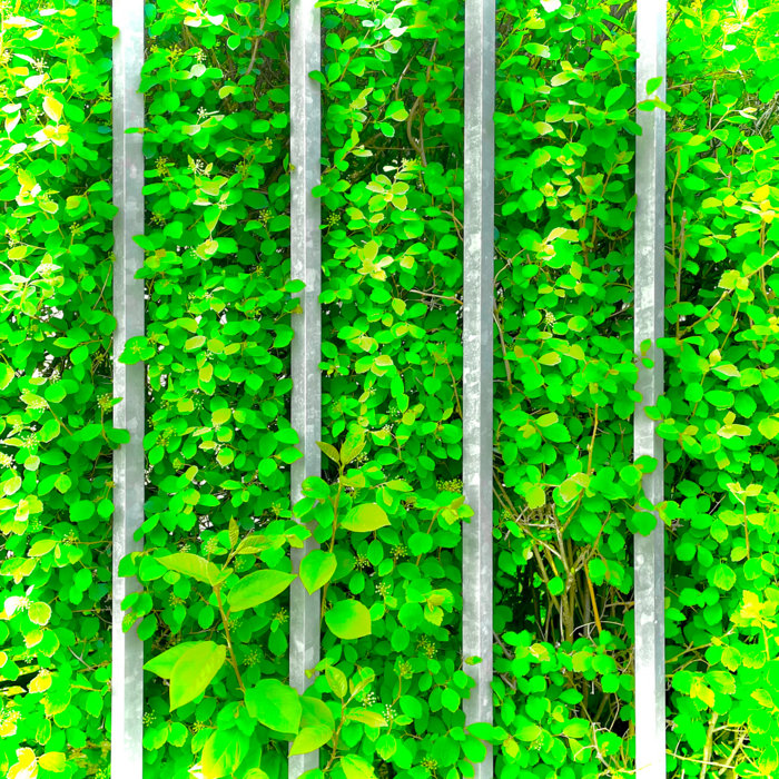 The price of beauty | jack withers