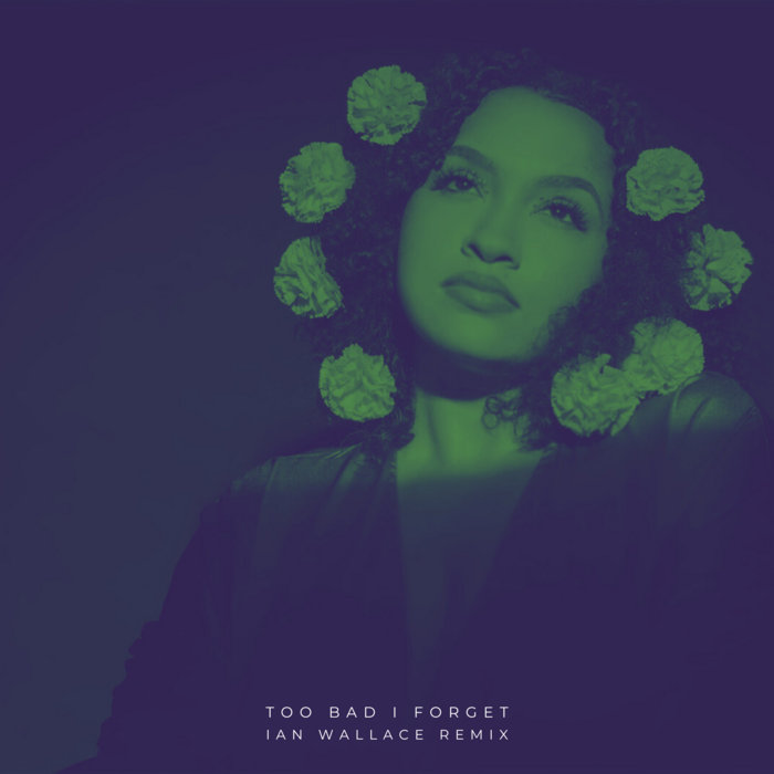 Too Bad I Forget (Ian Wallace Remix) | Ian Wallace