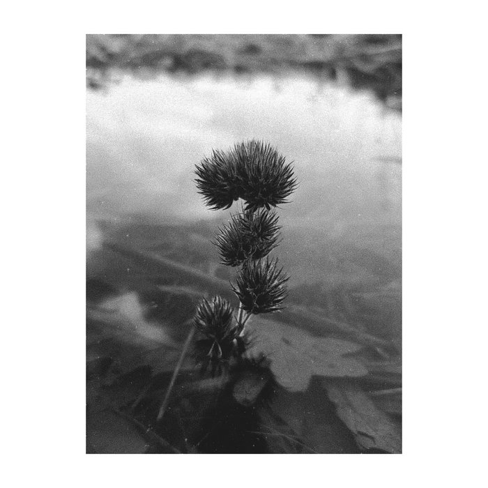 II | Flood List