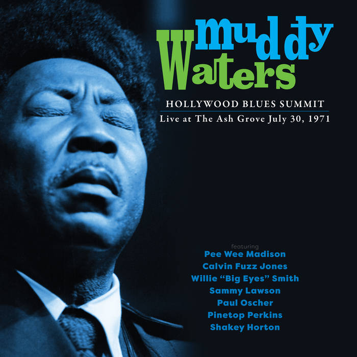 Muddy Waters Albums