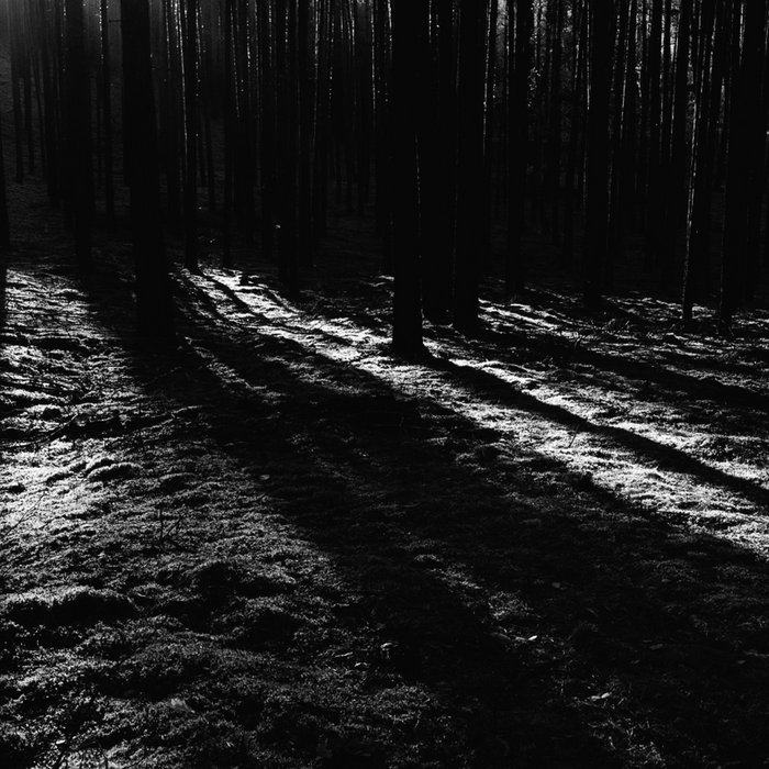 Bourdon: Tome Trois | BLAKMOTH