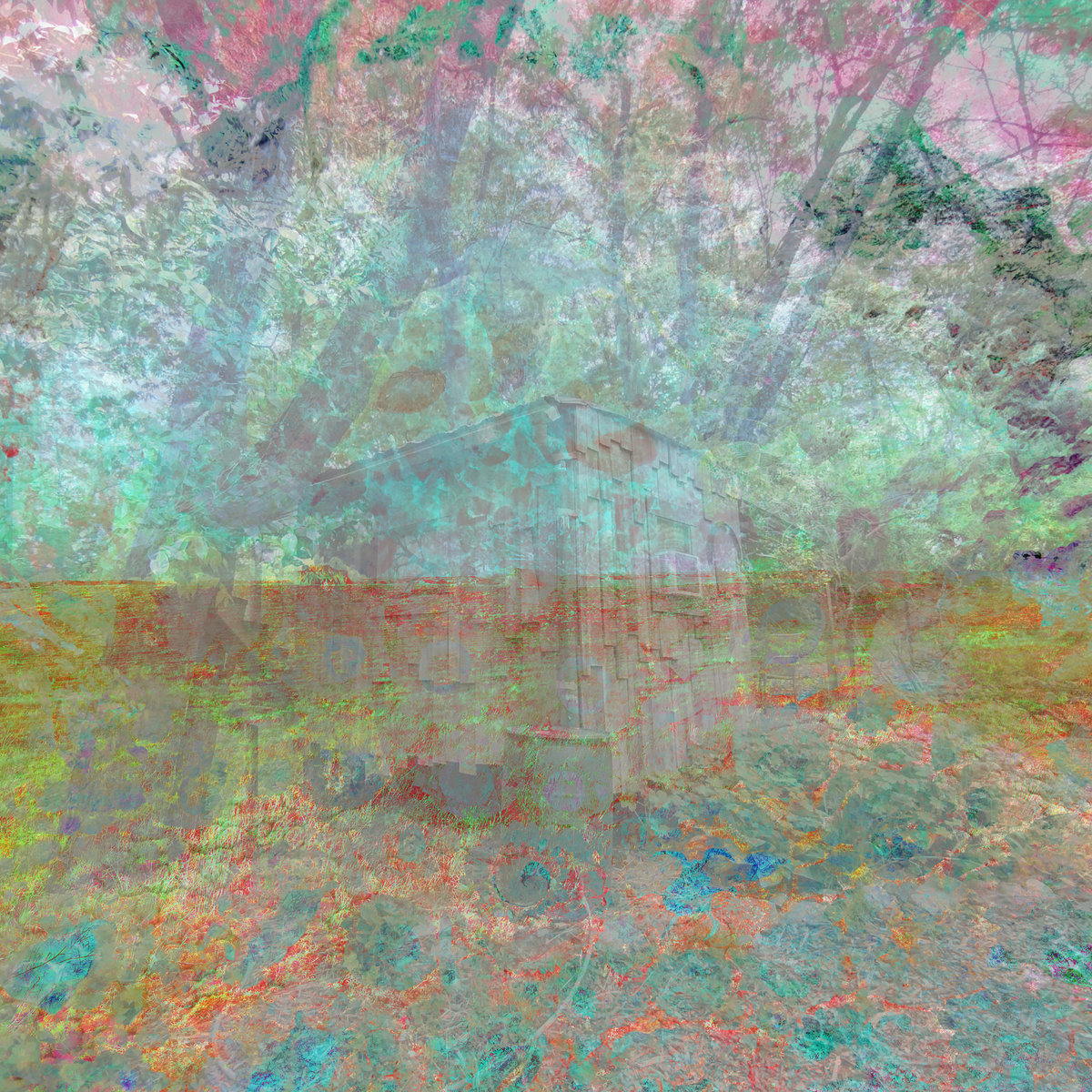 The Great American Hot Dog Tour | Alex Homan