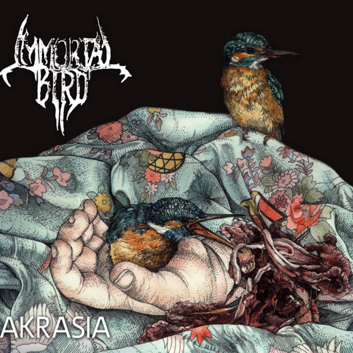 Akrasia | Immortal Bird