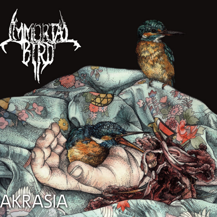 Akrasia | Immortal Bird