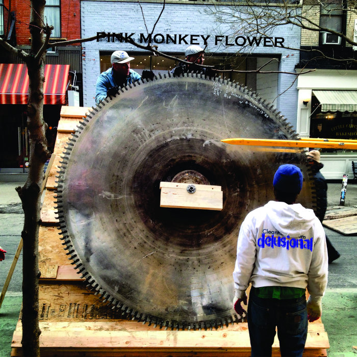 Delusional | Pink Monkey Flower