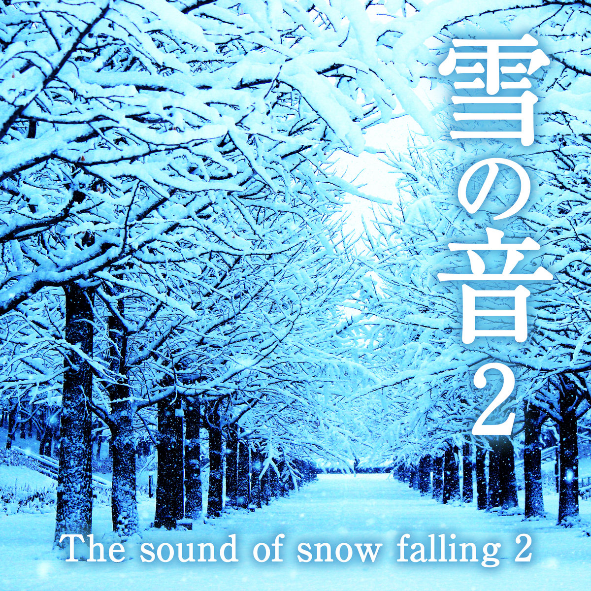 Sound of snowfall | Japanese Nature Sounds