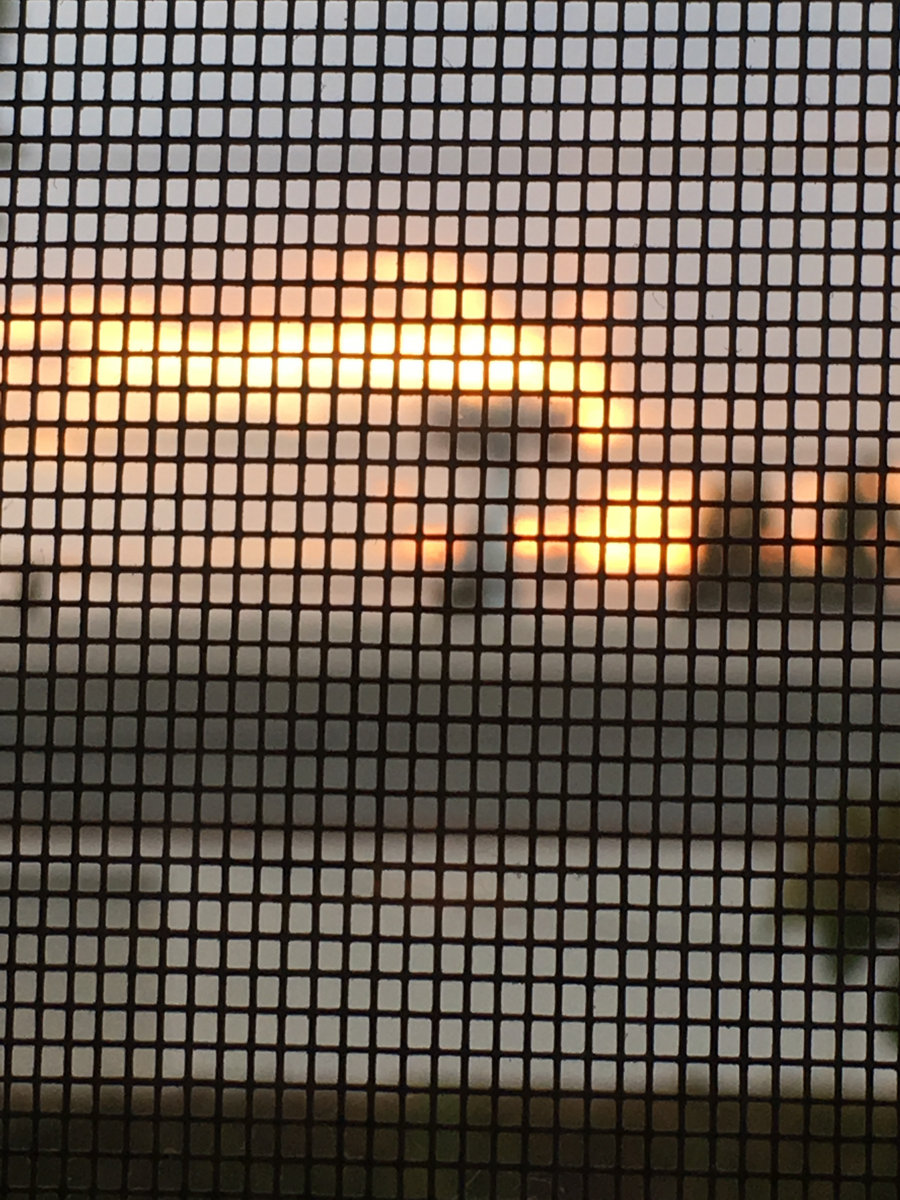 Losing You | Jet Elfman