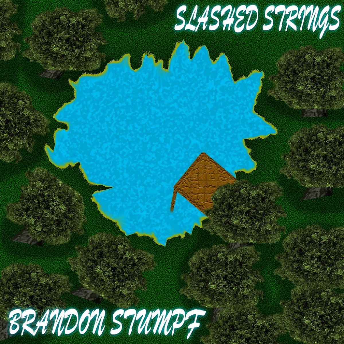 Slashed Strings II | Brandon Stumpf