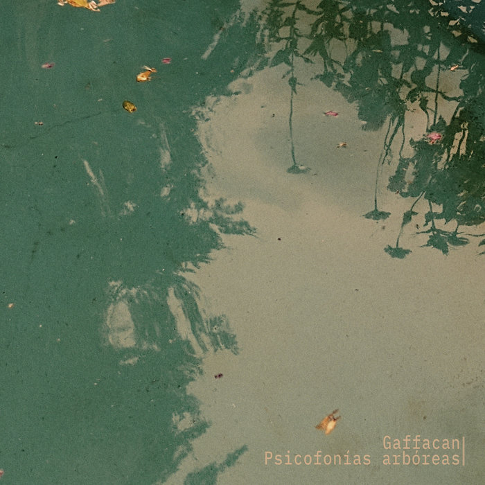 Psicofonías Arbóreas | Gaffacan