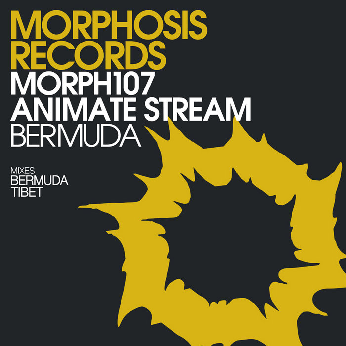 Bermuda | Animate Stream | Morphosis Records