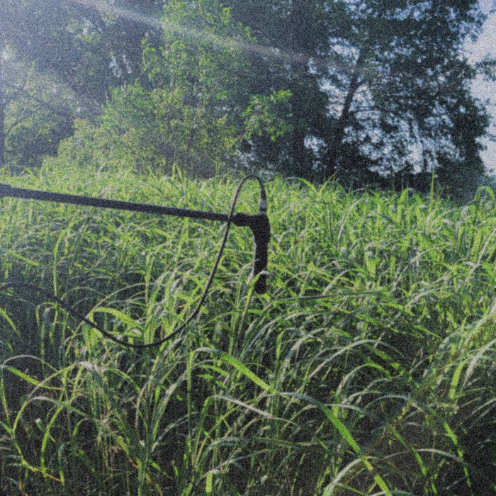 Field Notes Vol. 1 | One Million Mirages