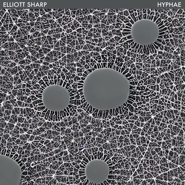 Hyphae | Elliott Sharp