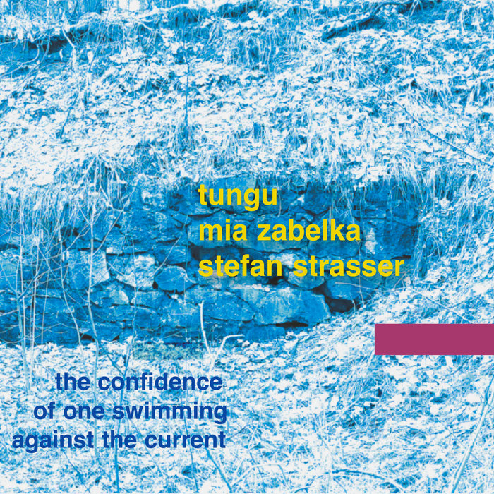 Imminent Disaster | Mia Zabelka/ Tungu/ Stefan Strasser | Mia Zabelka