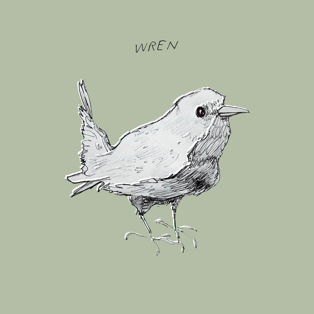 Wren | Rob Gray