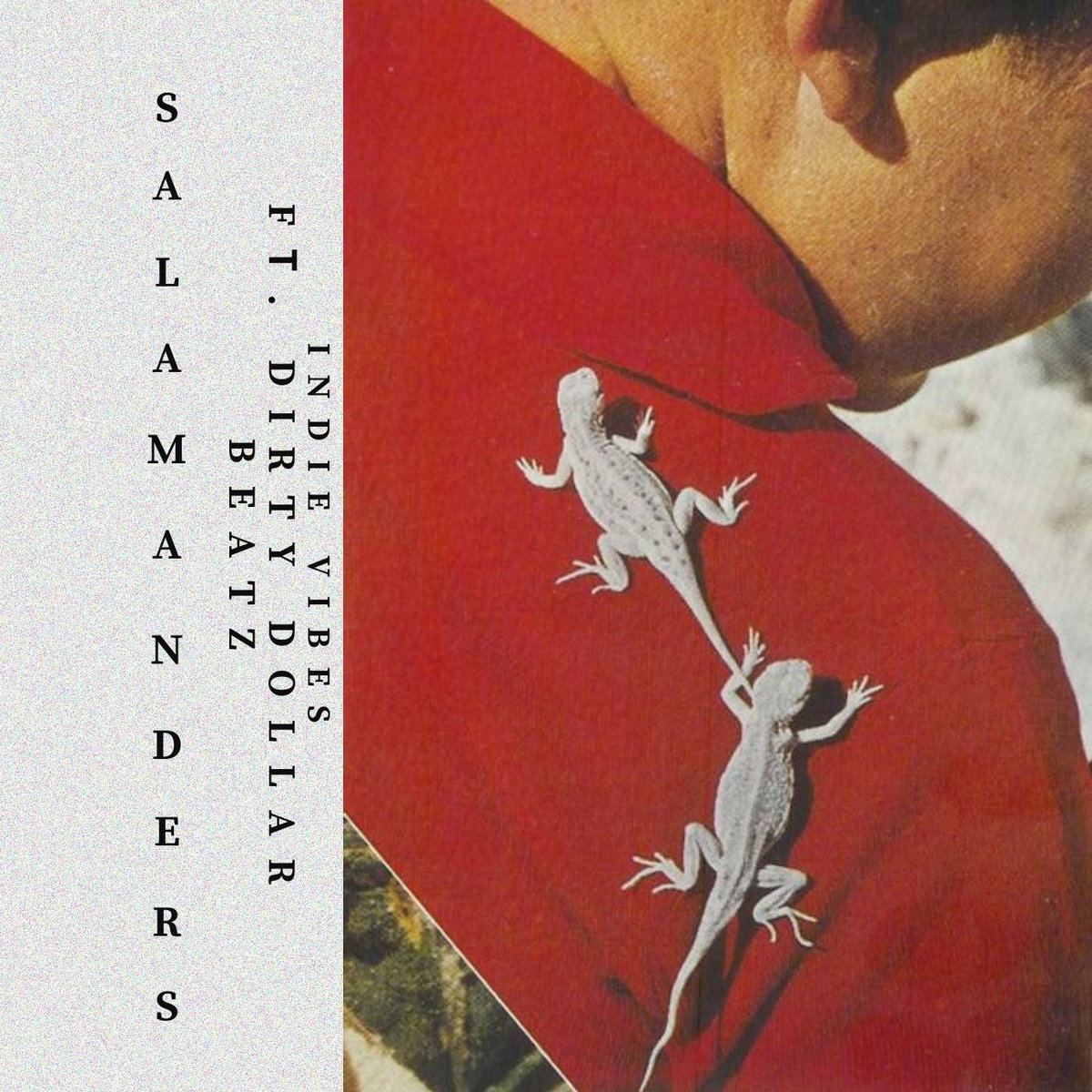 S A L A M A N D E R S Indie Vibes s-a-l-a-m-a-n-d-e-r-s-indie-vibes