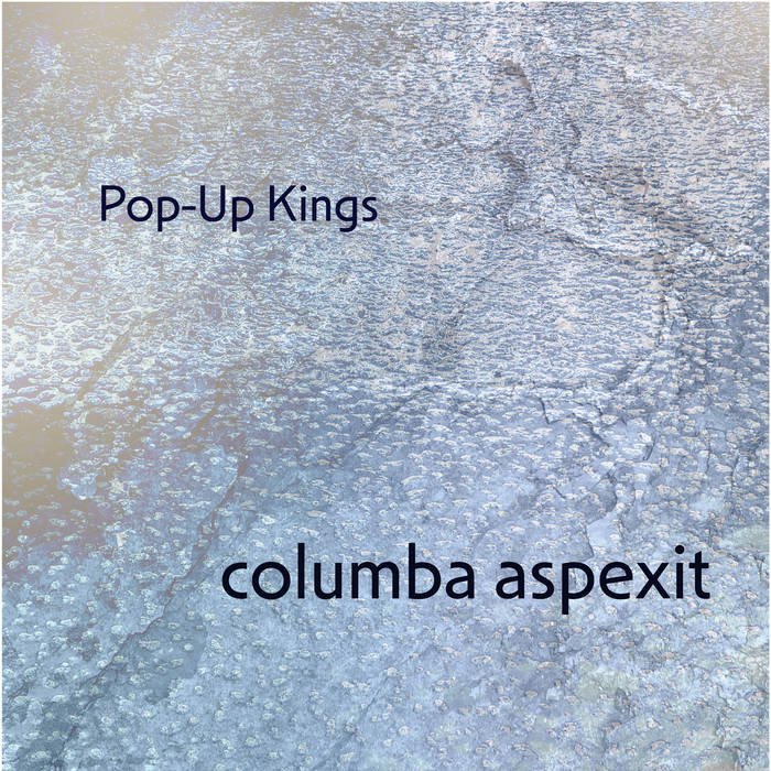 columba aspexit | Pop-Up Kings